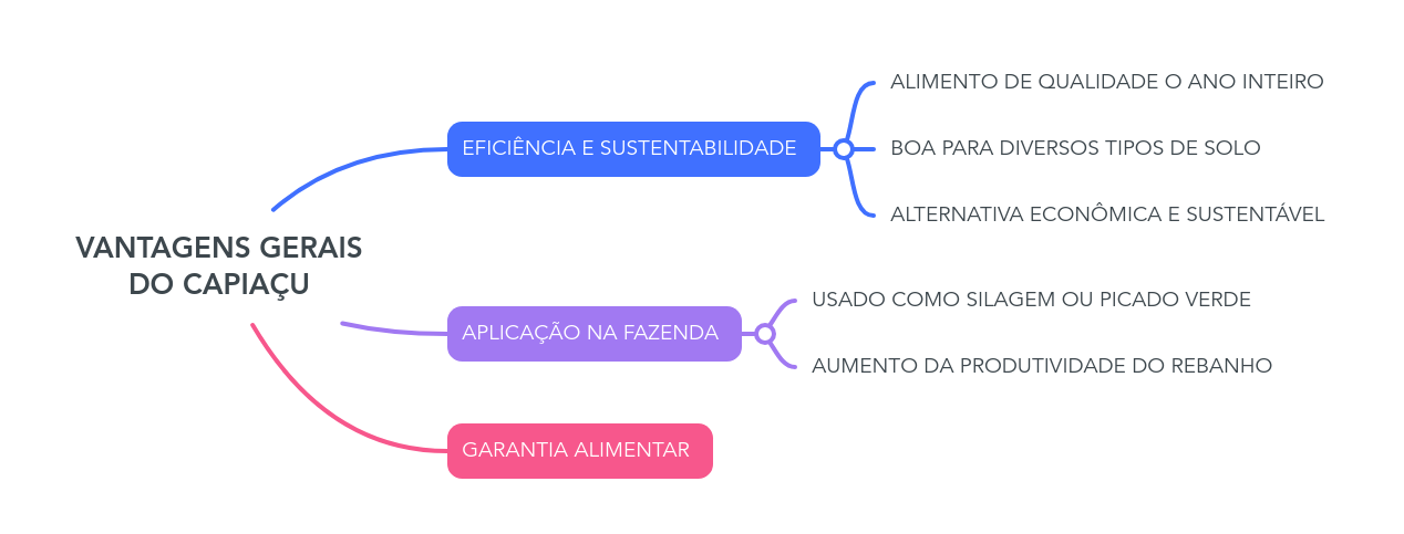 Capiaçu: o Capim Elefante Perfeito para Silagem e Picado Verde! - MaterBio
